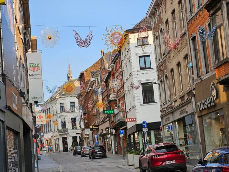 Nieuwe straatversiering zorgt voor zomers gevoel - Truineer